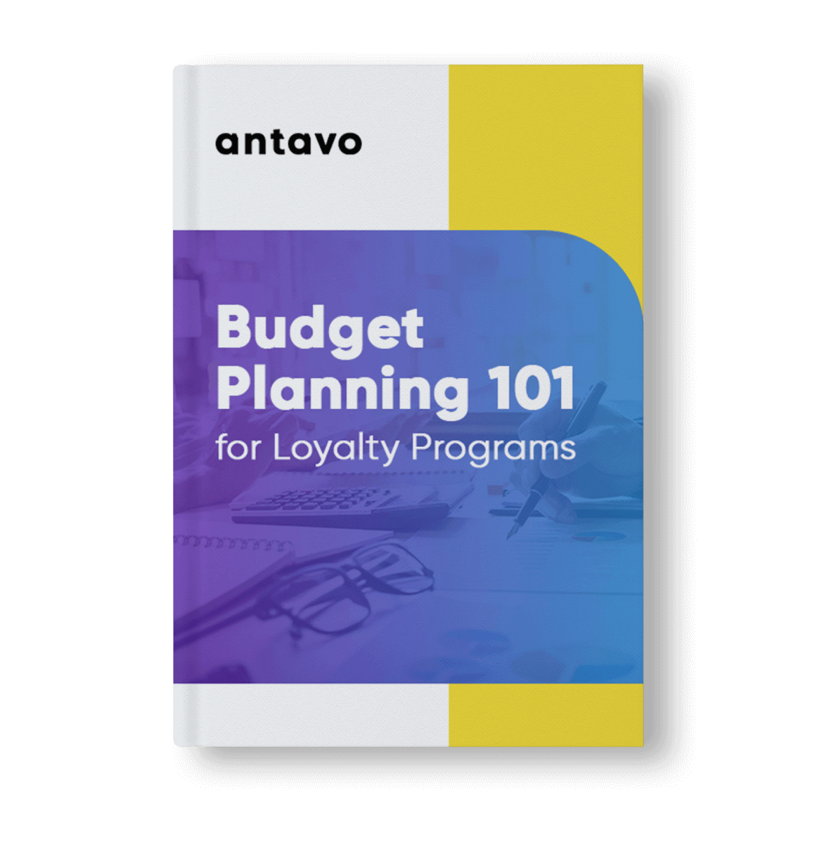 Budget Planning 101 for Loyalty Programs - Ebooks | Antavo